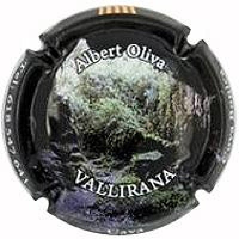 MAOA087064-466-Albert Oliva